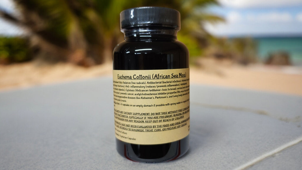 Eucheuma Cottonii-African Sea Moss – Israelite Market